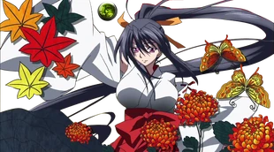 Akeno Himejima/Akeno Gallery | High School DxD Wiki | Fandom