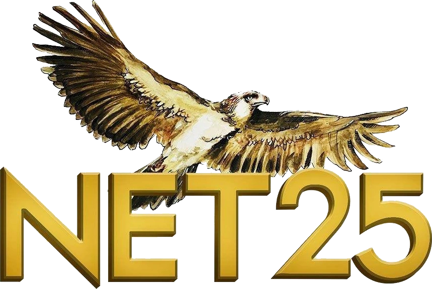 Net 25 Logos (2020-2021) | Dxs Wiki | Fandom