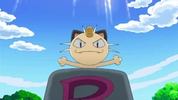 Meowth | Destruction of Xtreme Wrestling (E-Fed) Wiki | Fandom