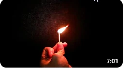 5 HOW TO SURVIVE WILD | Dylan Wiki | Fandom