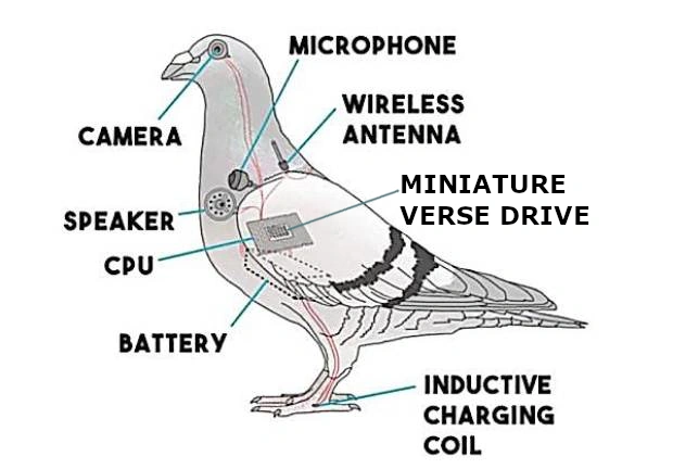 BIRD | The Infiverse Wiki | Fandom