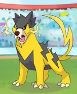 Tazer | Dynamons Wikia | Fandom