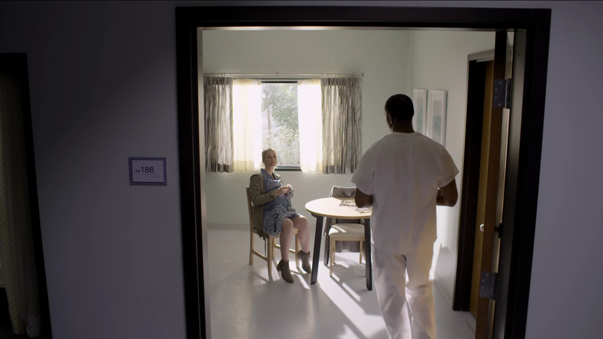 Raleigh Meadows Medical Center | Dynasty Wiki | Fandom