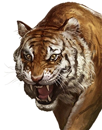 Tiger | Koei Wiki | Fandom