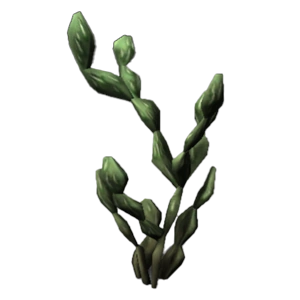 Cactus - DYSMANTLE Wiki