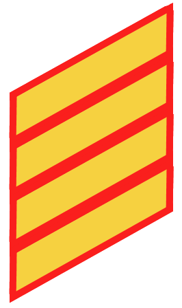 Service Stripes | D&Z Game Wiki | Fandom