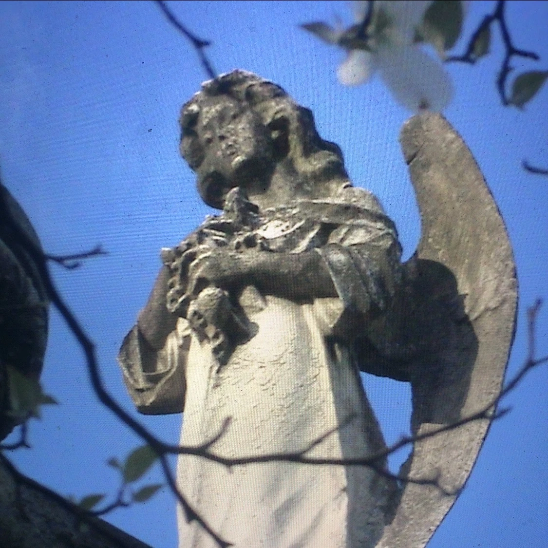 SUMMR'24 | E_DEATH Wiki | Fandom