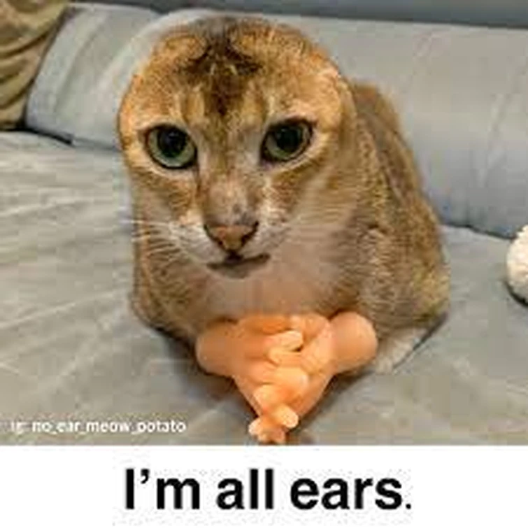 Tell me something weird | Fandom