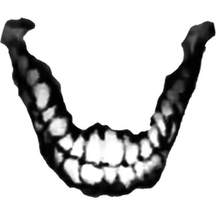 make entity out of these images | Fandom