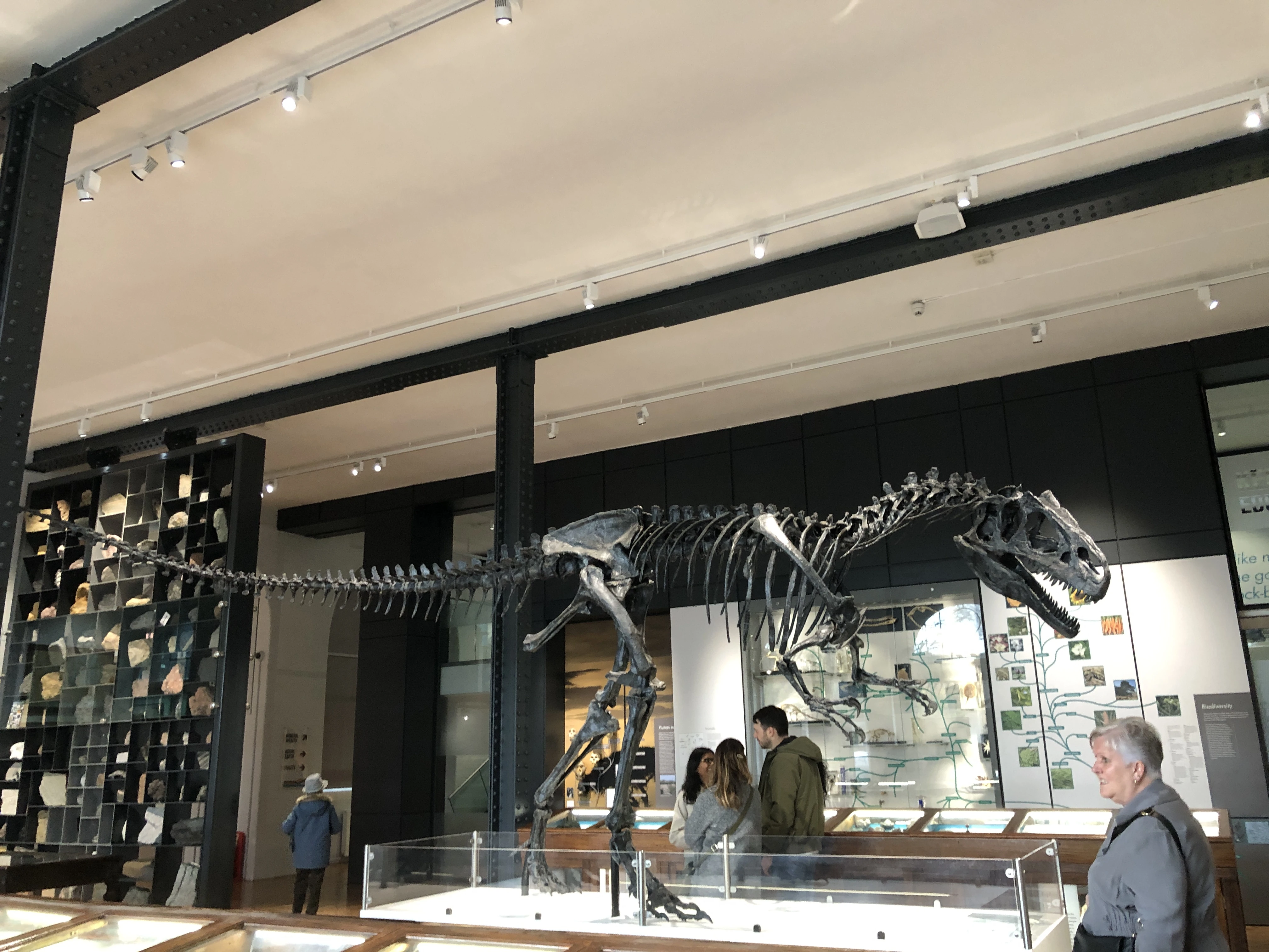 Give me y’all best Allosaurus gifs/memes! | Fandom