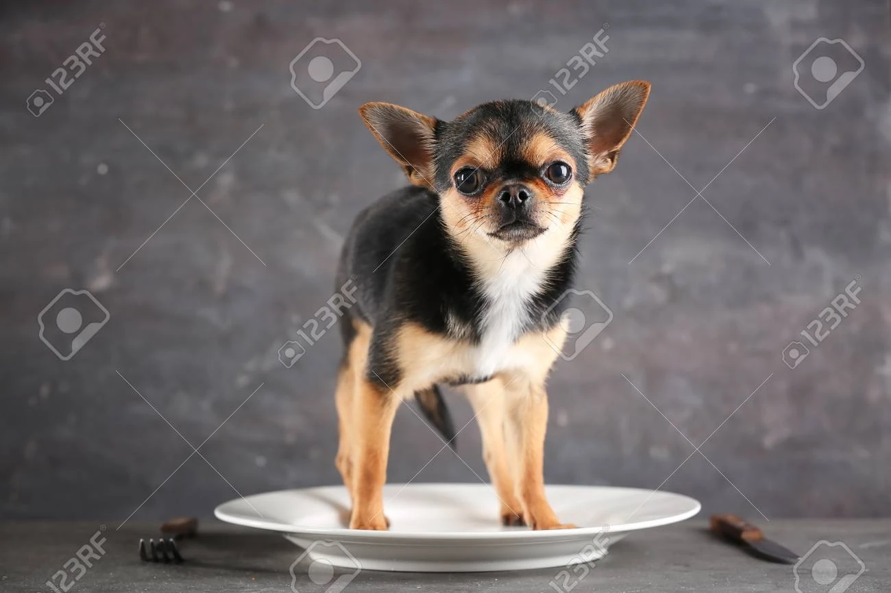 Face Reveal | Fandom