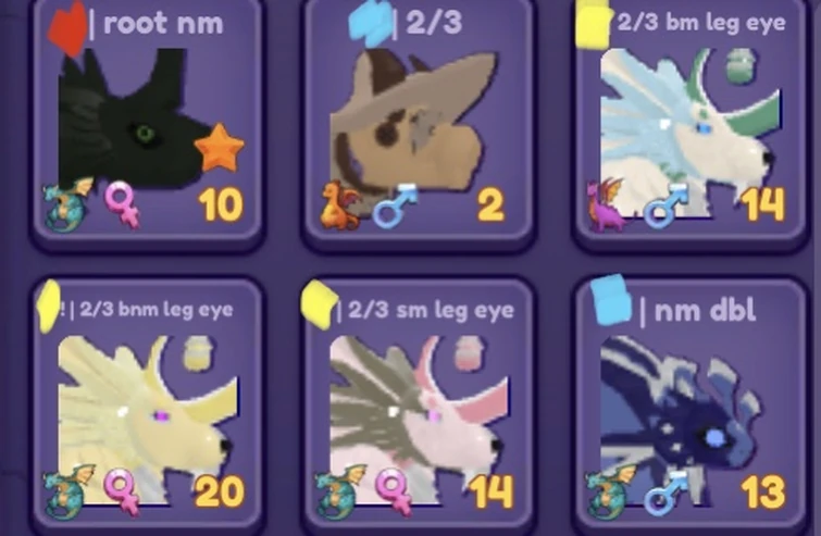 Discuss Everything About Dragon Adventures Wiki | Fandom