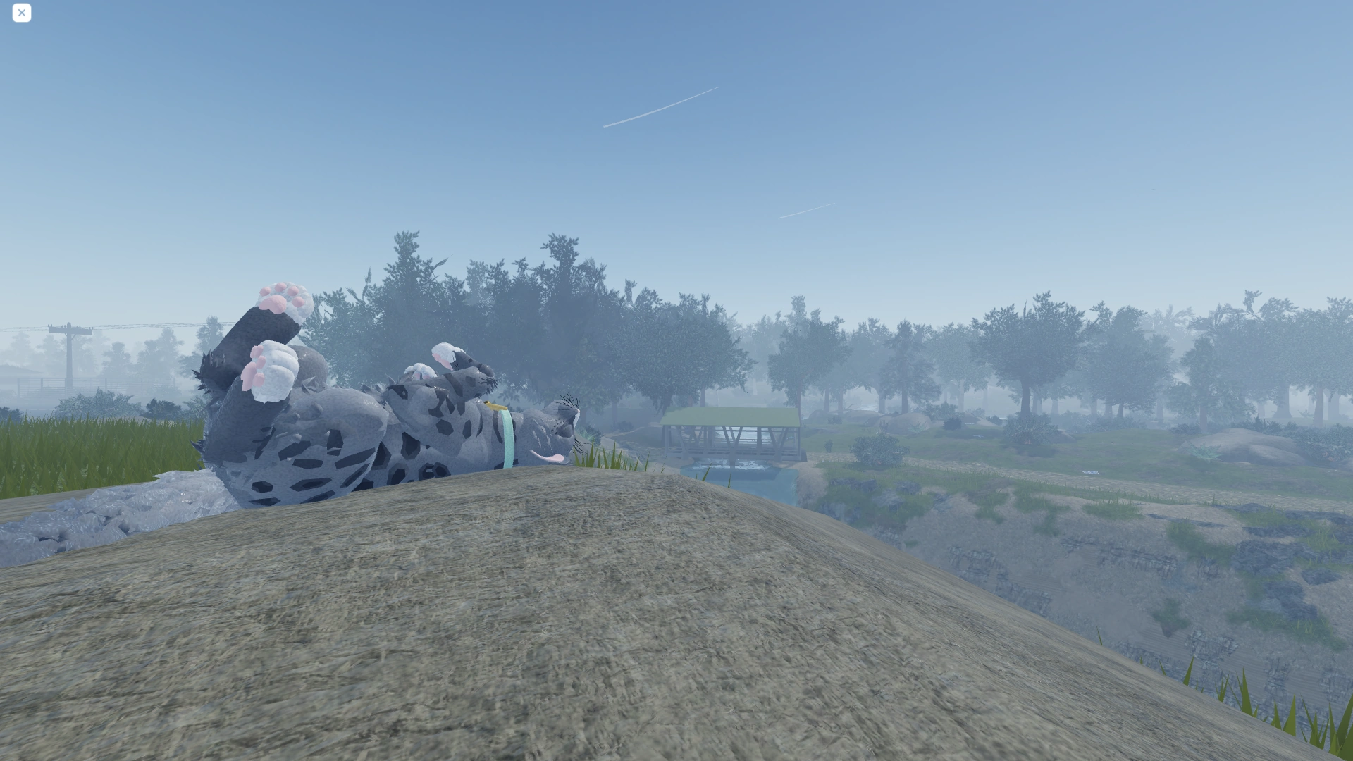 Another screenshot of Prince! | Fandom