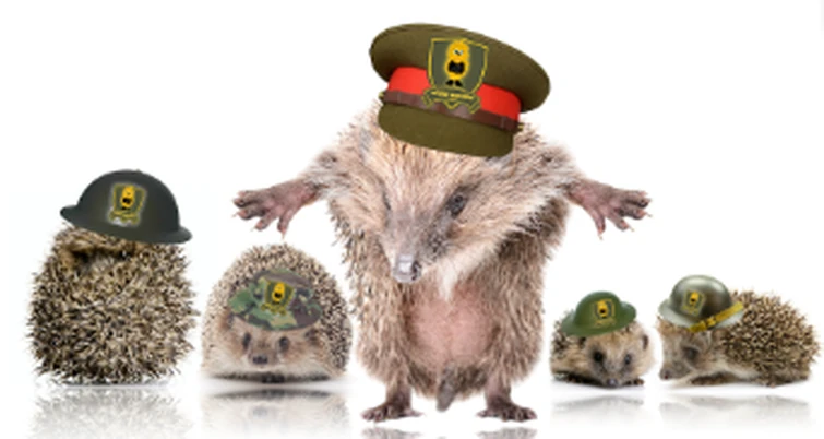 Some pics from the hedgehog army | Fandom