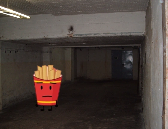 Here's a picture of the basement! | Fandom