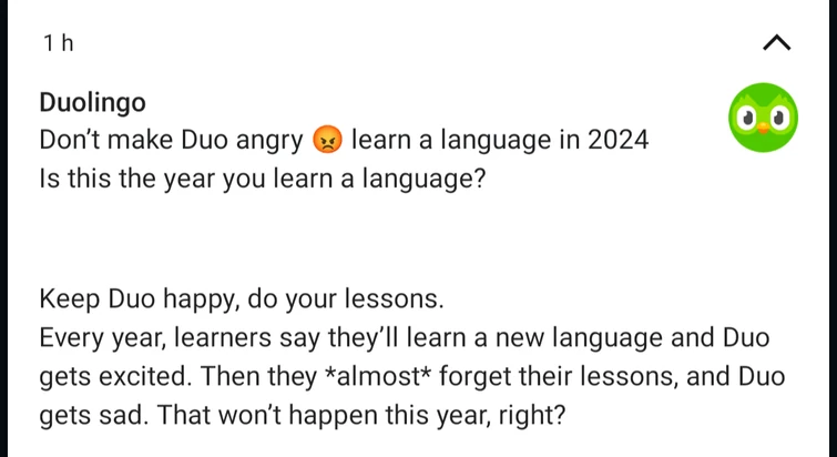 Most menacing Duolingo email I've received so far | Fandom