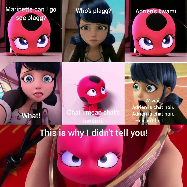 Meme | Fandom