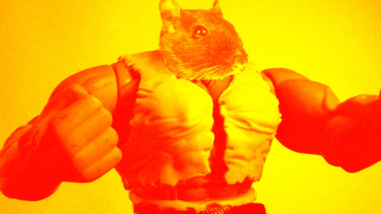 Muscle rat man build diff 😳 | Fandom