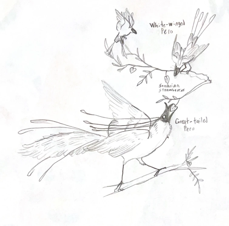 Show me your first ever cos drawing and your most recent cos drawing ...