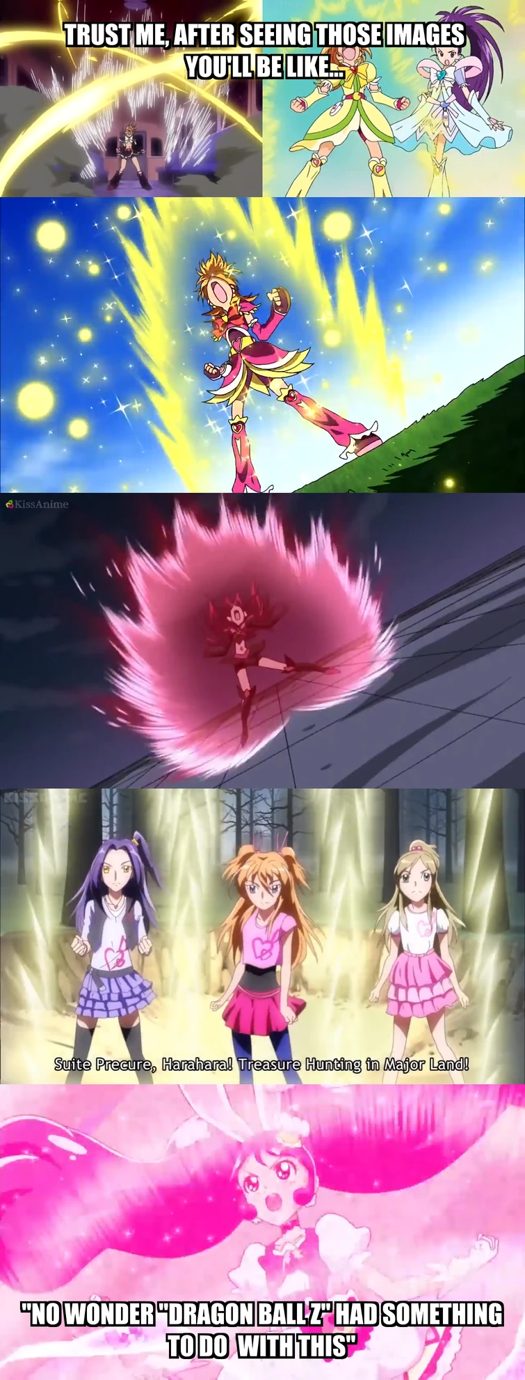 Random PreCure Meme | Fandom