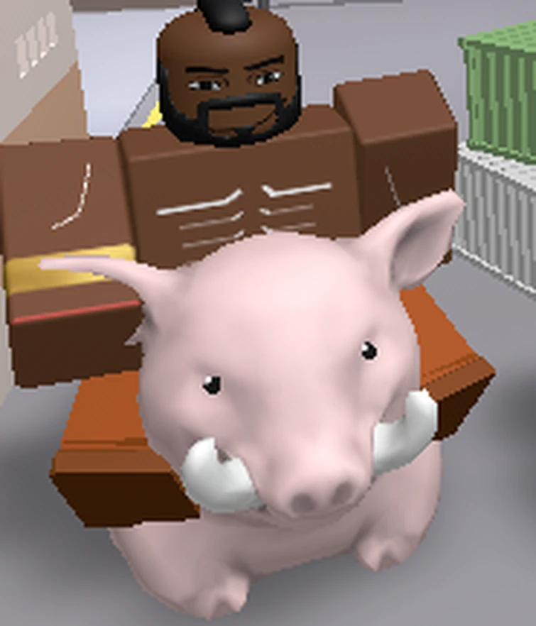 I found HAWG RIDA in roblox! | Fandom