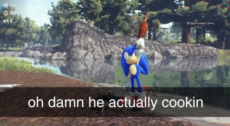 Discuss Everything About Sonic Wiki Zone | Fandom