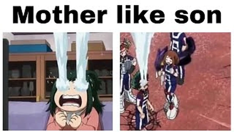 Memes of mha (and shipping chaos) | Fandom