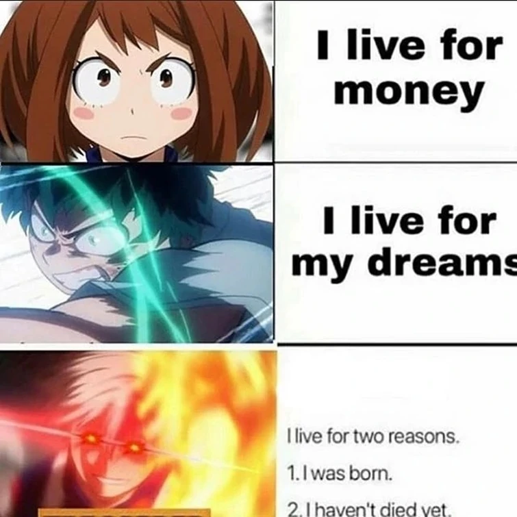 Mha memes but it’s todoroki | Fandom