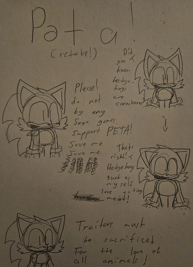 Chat, did I cook? | Fandom