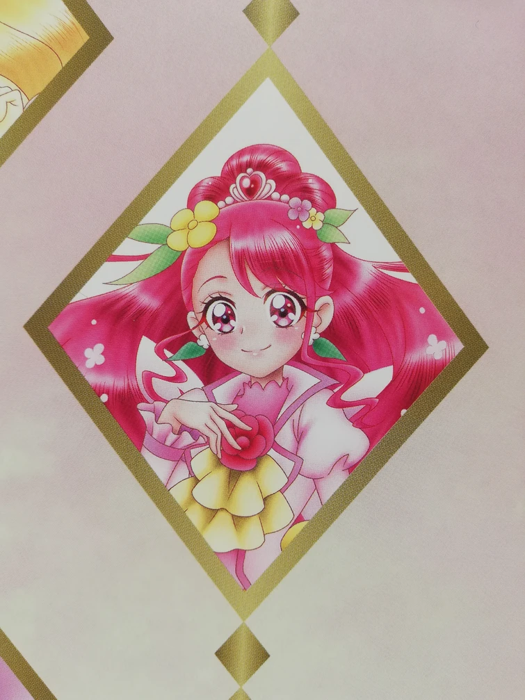 18 main characters depicted in all PreCure exhibition posters. | Fandom