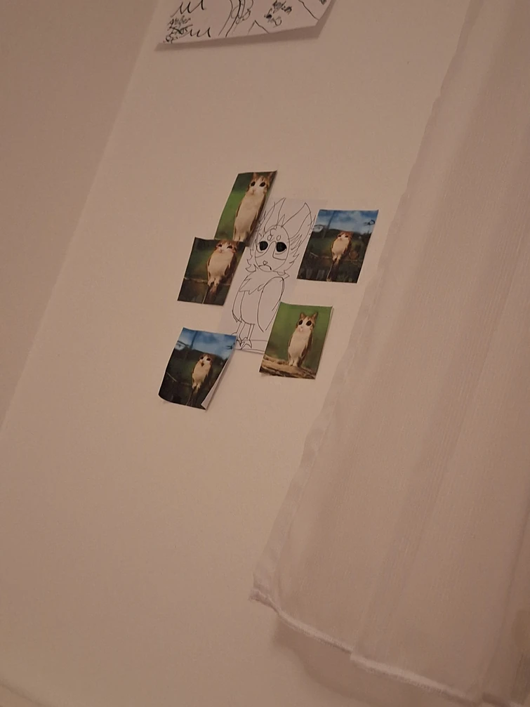 they all watch me sleep btw | Fandom