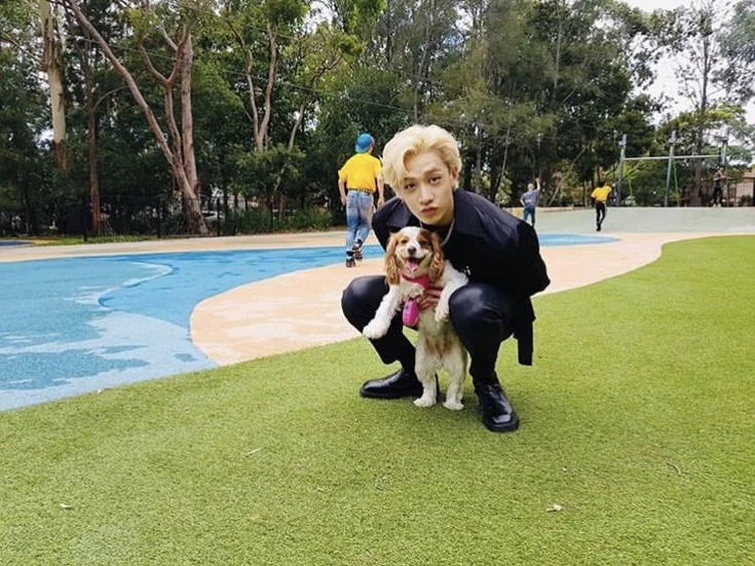 Chan's Dog, Berry (apologies for double post) | Fandom