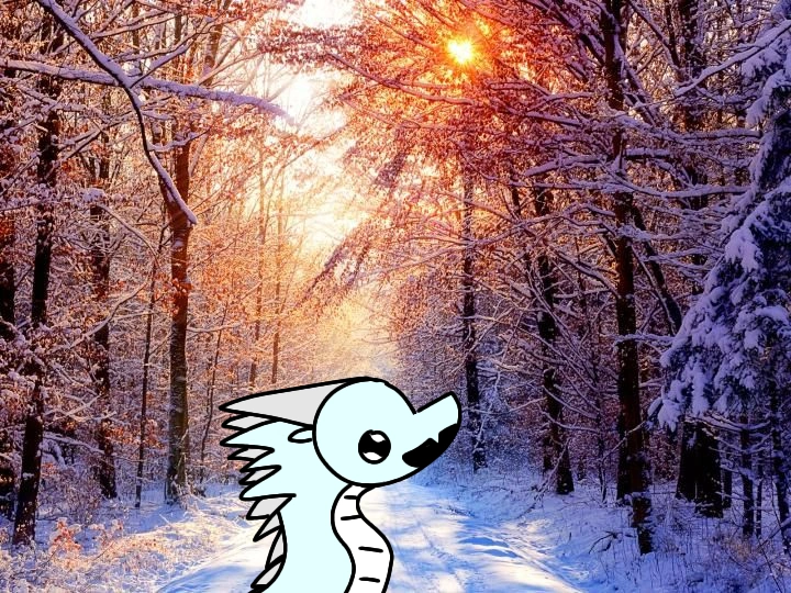 ART of an icewing cause I'm getting a Snow Day!! | Fandom