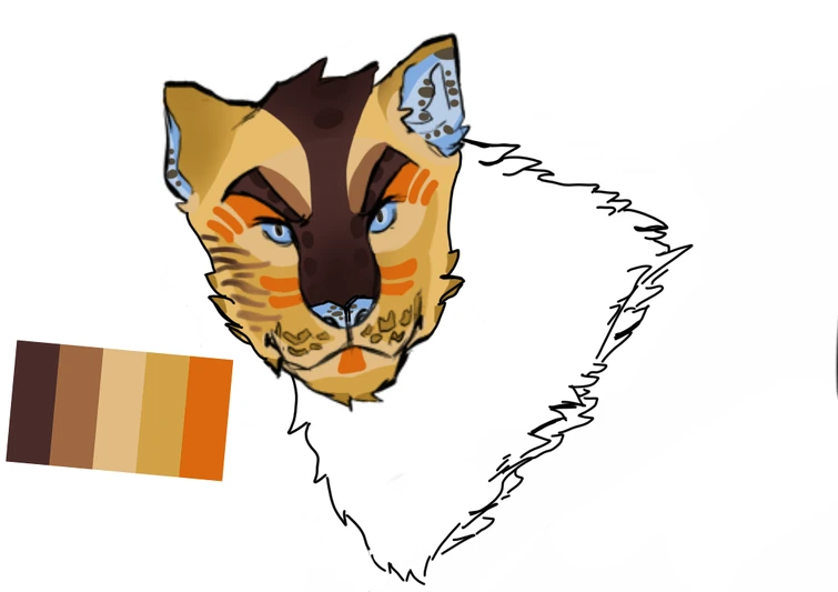 Some Designs | Fandom