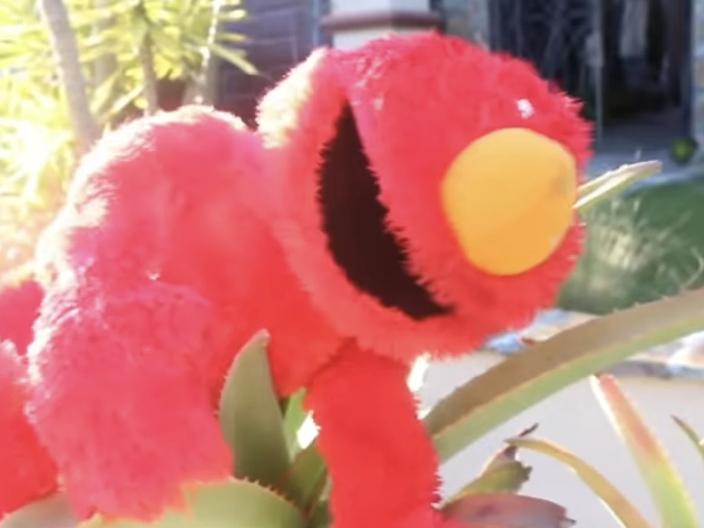 blind elmo pt.2 | Fandom