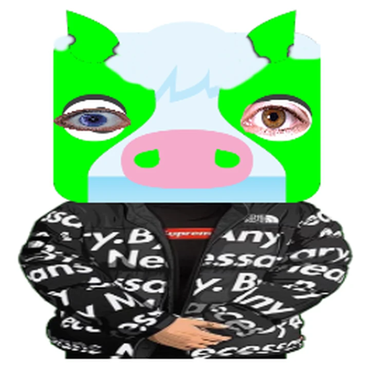 Any ideas for a custom/edited blook? | Fandom