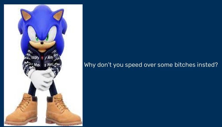 Sonic Roast You | Fandom