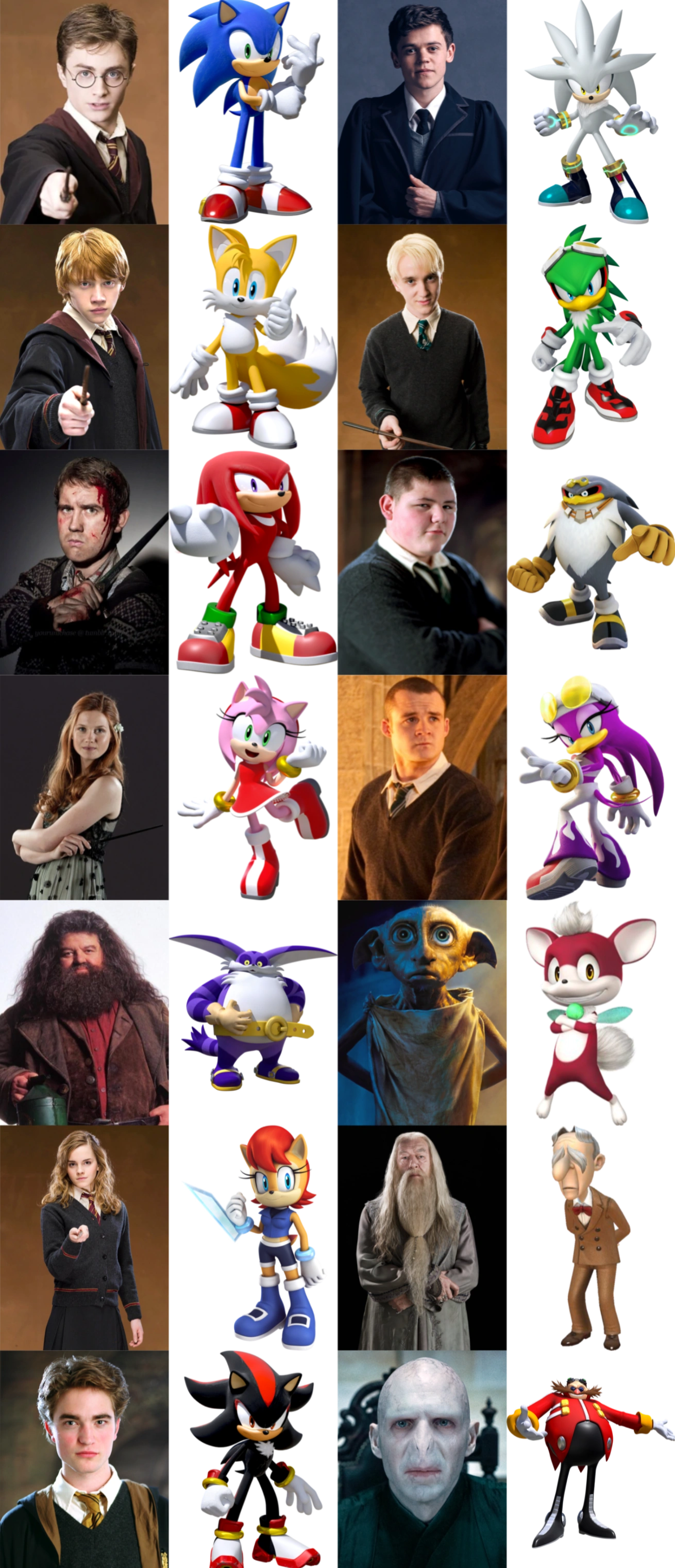 Sonic The Hedgehog Characters as Harry Potter Characters (Version 4 ...