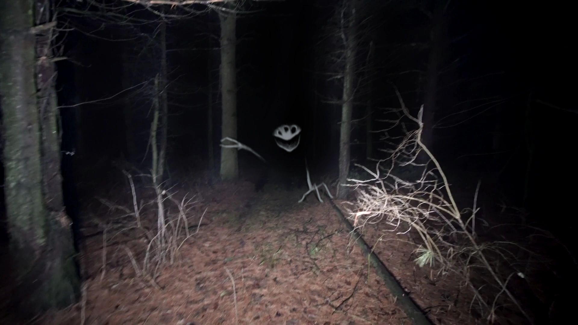 Forest Eyes | Fandom