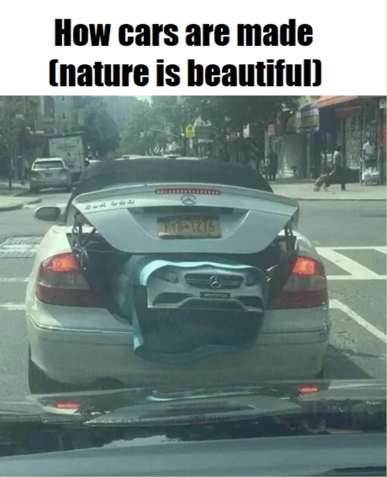 Daily Meme #4 | Fandom