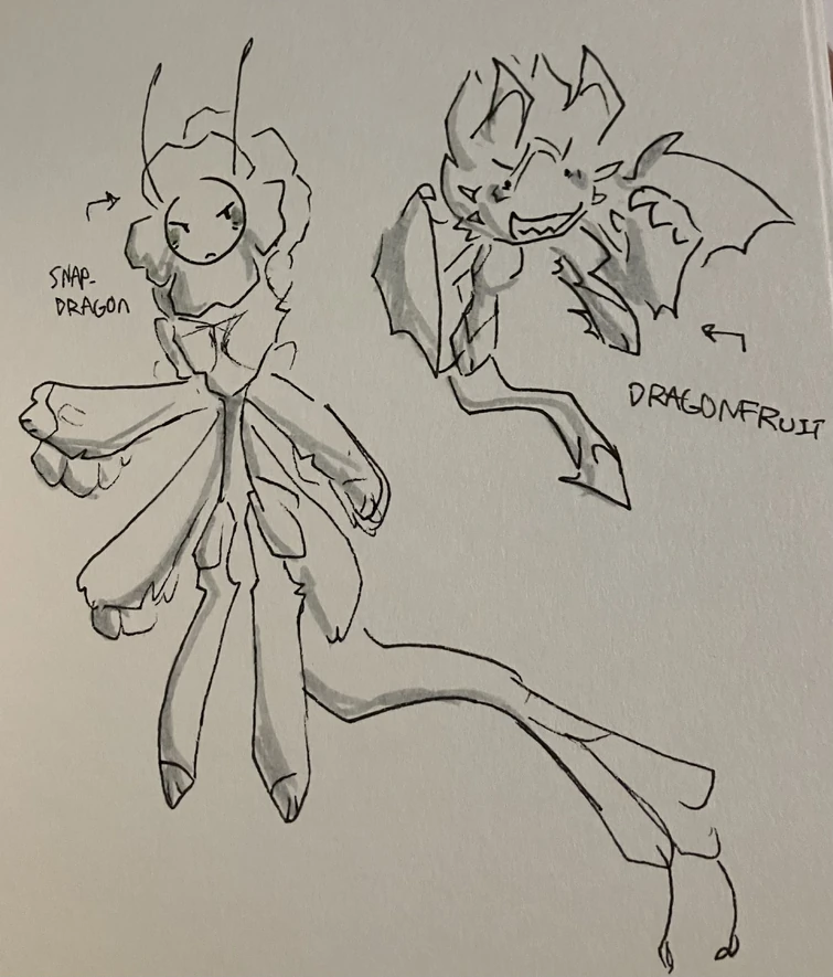 dragon characters | Fandom