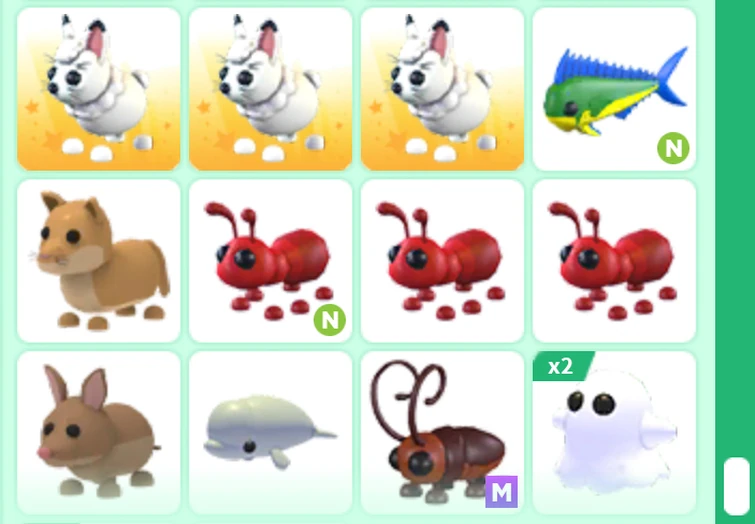 does anyone have any mega bunnies /rabbits/hares, neons r cool too | Fandom