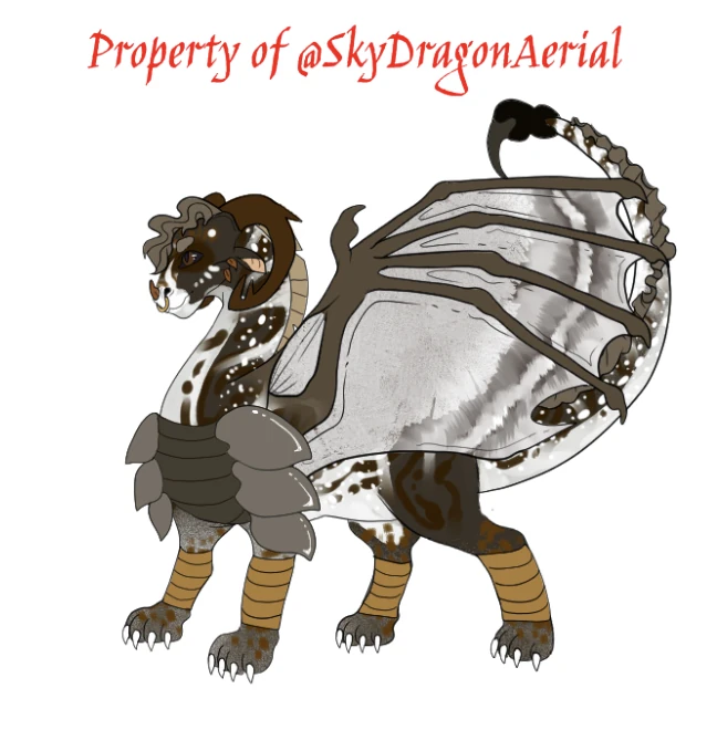 Adopt an OC!! | Fandom