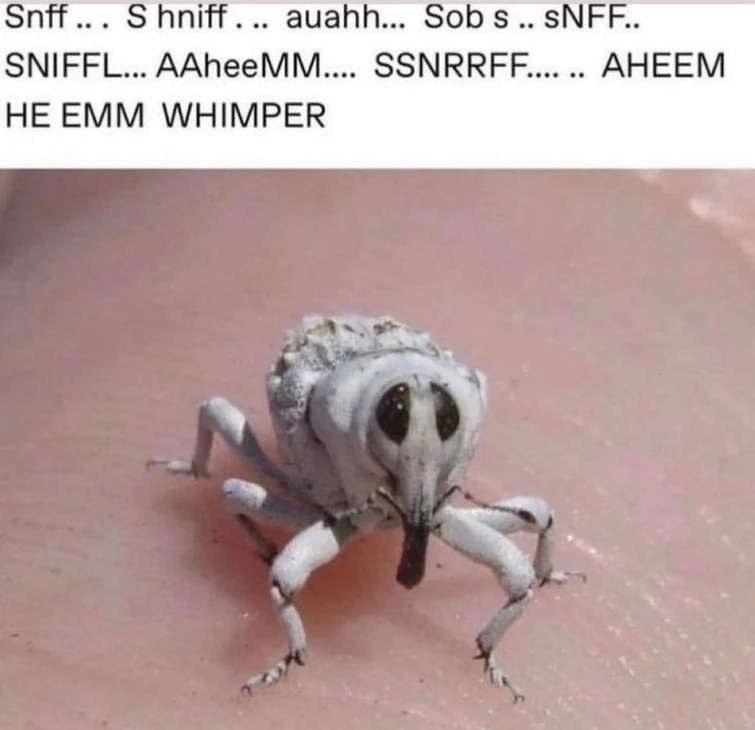 Discuss Everything About Creatures of Sonaria Wiki | Fandom