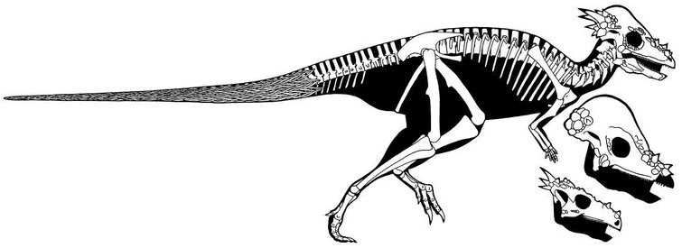 Discuss Everything About Dinopedia | Fandom