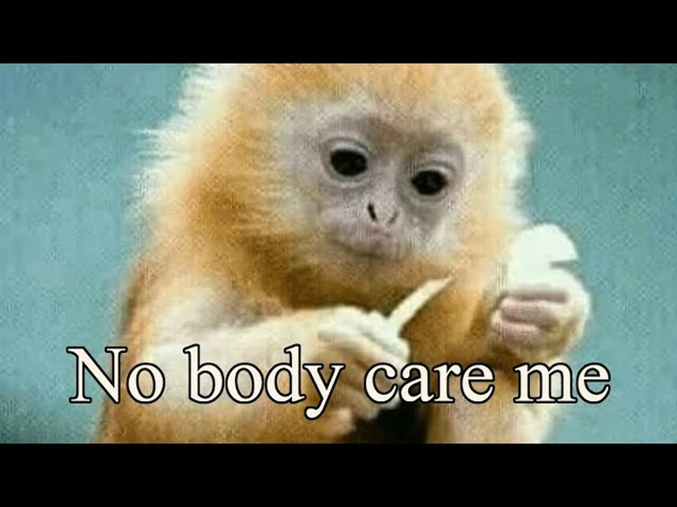 Nobody care me | Fandom