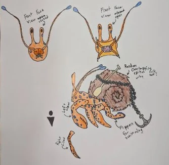 Creature Concept | Fandom