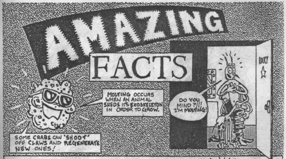 Posting one of the Bob the Sponge images in full due to the Intertidal ...