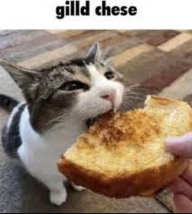 In about an hour.. | Fandom