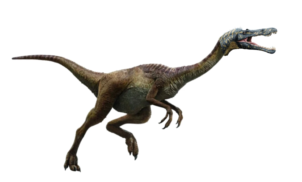 Curse Dinosaurs spino crab and Galli-mimus. | Fandom